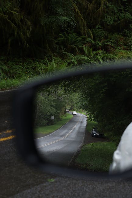 Vision Tests for Driving Safety and Requirements - 1689BLOG